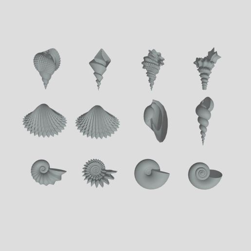 🐚 Helico-Spiral Shell Examples・ STL File for 3D printing・Cults