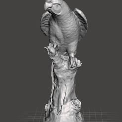 Parrot best 3D printer models・490 designs to download・Cults