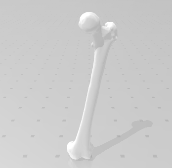 Archivo STL Left Female Femur ⬅️ ・Diseño de impresora 3D para descargar ...