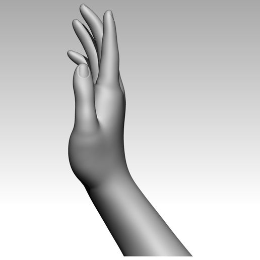 hand・ STL File for 3D printing・Cults