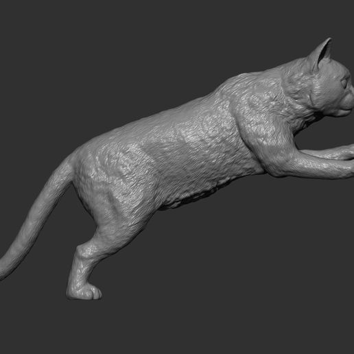 3D file Jumping cat 3D print model 🐱 ・Model to download and 3D print・Cults