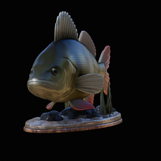 STL file fish perch / Perca fluviatilis statue underwater detailed ...