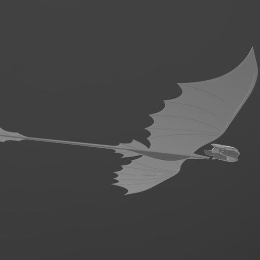 toothless flying top view