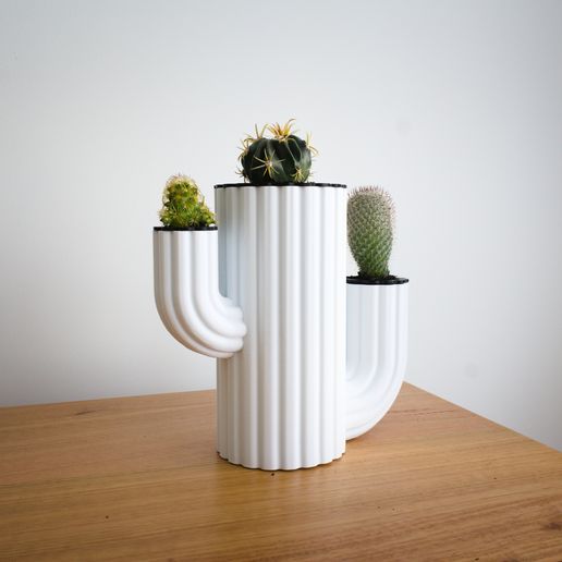 🌵 Jardinera para cactus - Cactus Inception・Archivo STL para Impresión ...