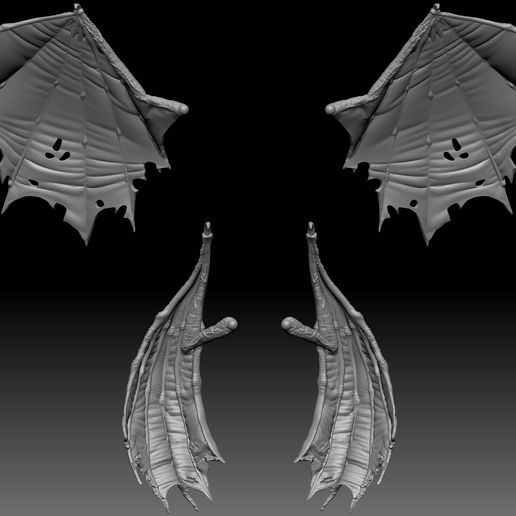 STL file 2 Pairs of Wings 3D print model 🗿 ・3D printer model to ...