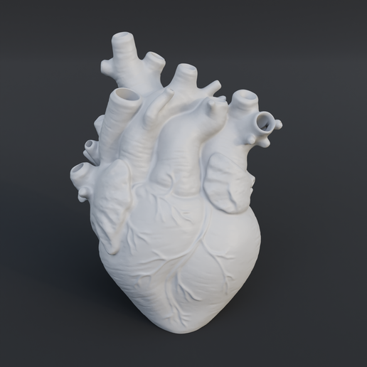 STL file ANATOMICAL HEART VASE 🫀 ・3D printer design to download・Cults