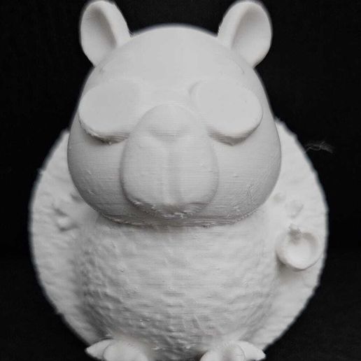 3D file Capybara on the Beach 🏖️ ・3D printer design to download・Cults