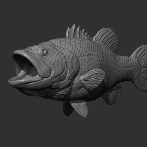 🐠 Largemouth bass・ STL File for ・Cults