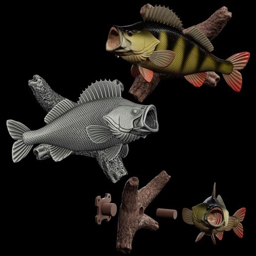 🐠 FISH EUROPEAN PERCH / PERCA FLUVIATILIS wall sculpture branch 3d ...