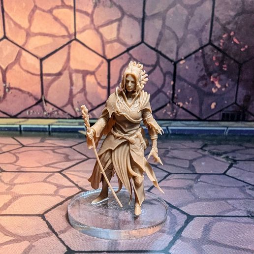 🦁 Gloomhaven - Voidwarden - Jaws of the Lion・Arquivo STL para Impressão ...