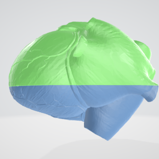💜 3D Heart Model with Detailed Tricuspid and Mitral Valve・ OBJ File for ...