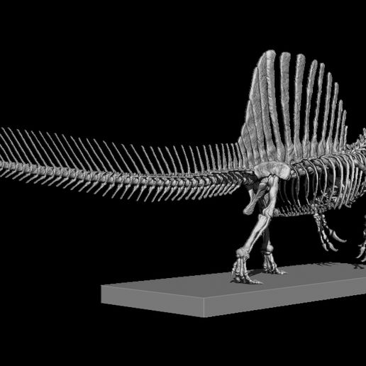 💀 SPINOSAURUS SKELETON V2, PART 1 OF 3・ 3D File for ・Cults