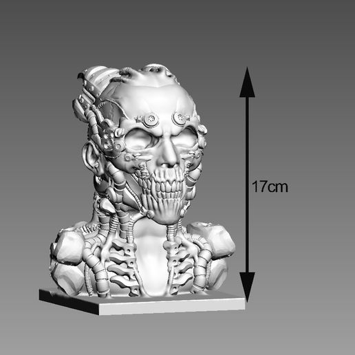 STL file Robot Skull human bust,Cyborg robot human, Perfect Gamer Gift ...
