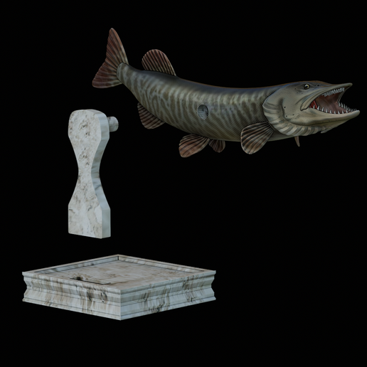 STL file fish pike muskellunge muskie / Esox masquinongy in motion 2 ...