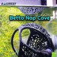 🆓 Betta Cave Hammock | Floating, Mounted & Free Placement Aquarium Fish ...