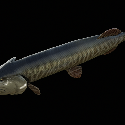 🐠 fish pike muskellunge muskie / Esox masquinongy open mouth statue ...