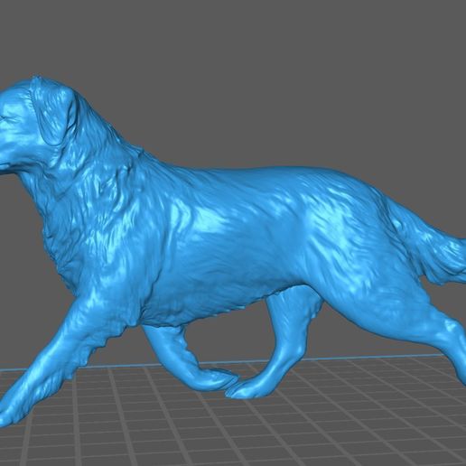 🐕 Realistic Australian Shepherd dog running 3D print model・ STL File ...