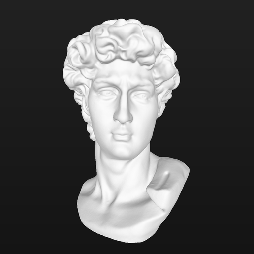 🗿 David（generated by Revopoint POP）・Free STL File for ・Cults