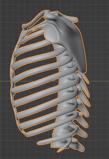 🎒 3D Model of Ribs Cage・ STL File for ・Cults