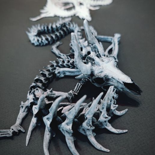dragon skeleton skyrim