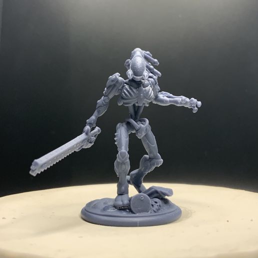 🧝 Void elf mantis warriors・ 3D File for ・Cults