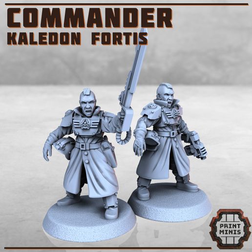 3D file Commander - Kaledon Fortis 🪖 ・Model to download and 3D print・Cults