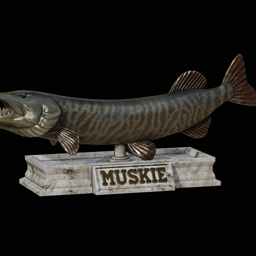 🐠 fish pike muskellunge muskie / Esox masquinongy in motion 2 open ...