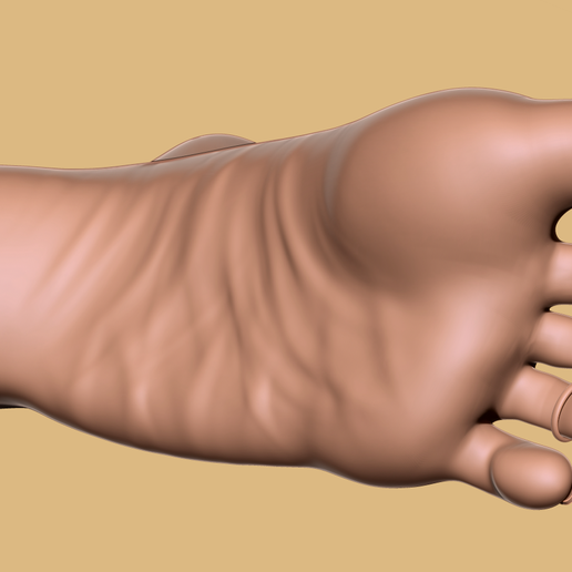 Archivo STL Female Foot - Big Toe Pointing Pose - Printable - Scan ...