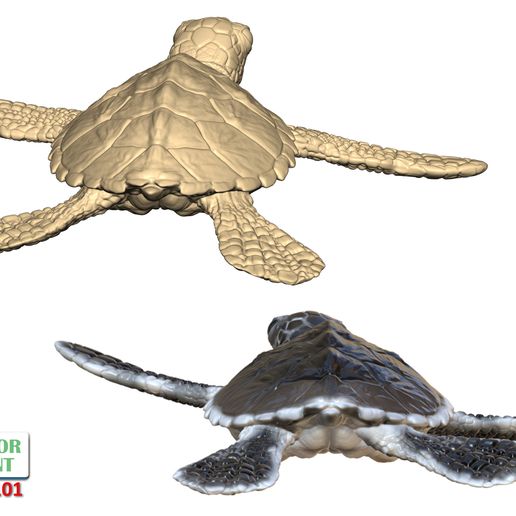 👶 Baby Sea Turtles 3D Printable Models・ 3D File for 3D printing・Cults
