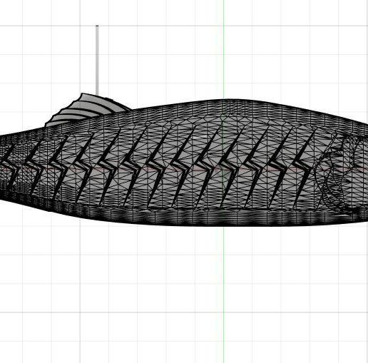 🎣 4.5 inch Tarpon Swimbait Mold・ STL File for 3D printing・Cults