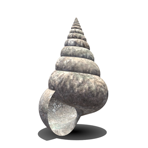 🐚 Shell・ STL File for 3D printing・Cults