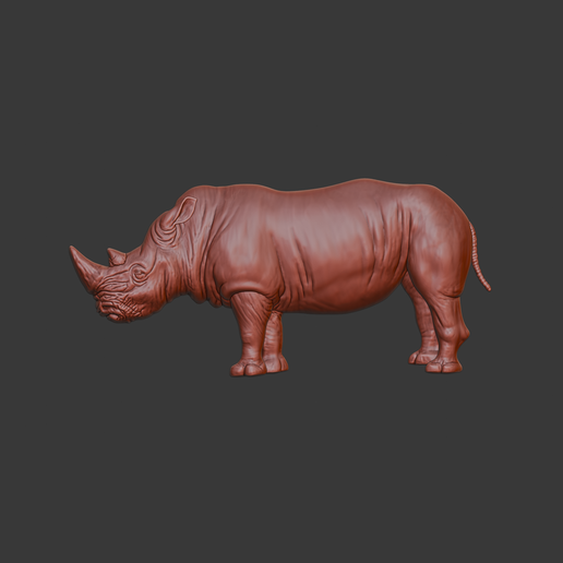 STL file Rhino 3d relief .stl file 🦏 ・3D printer model to download・Cults