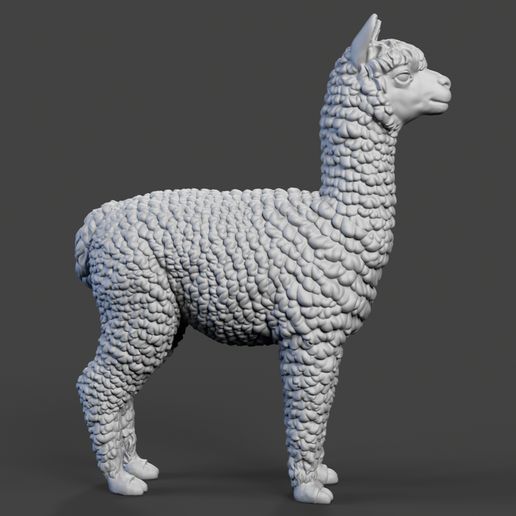 🦙 Alpaca 3D print model・ STL File for 3D printing・Cults