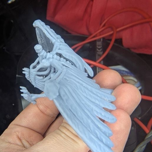 🦴 Bone Roc (DND / TTRPG)・Free STL File for 3D printing・Cults