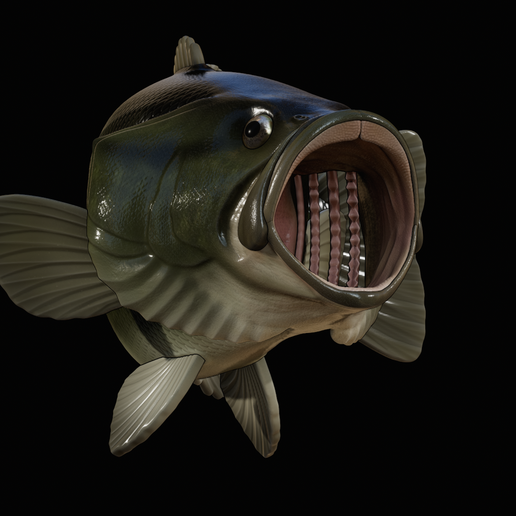 🐠 fish Largemouth Bass / Micropterus salmoides in motion trophy statue ...