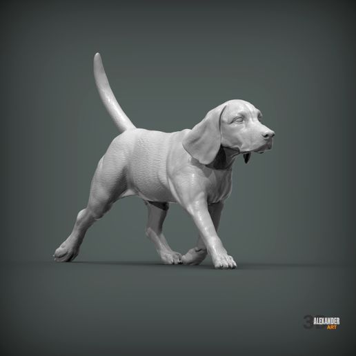 🐕 beagle runs・ STL File for 3D printing・Cults