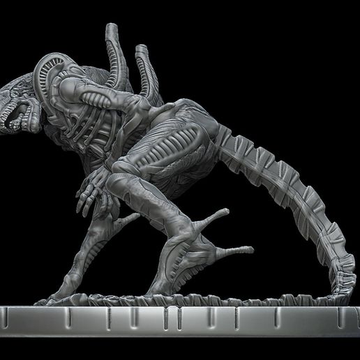 🎲 Xenomorph #3・ STL File for ・Cults