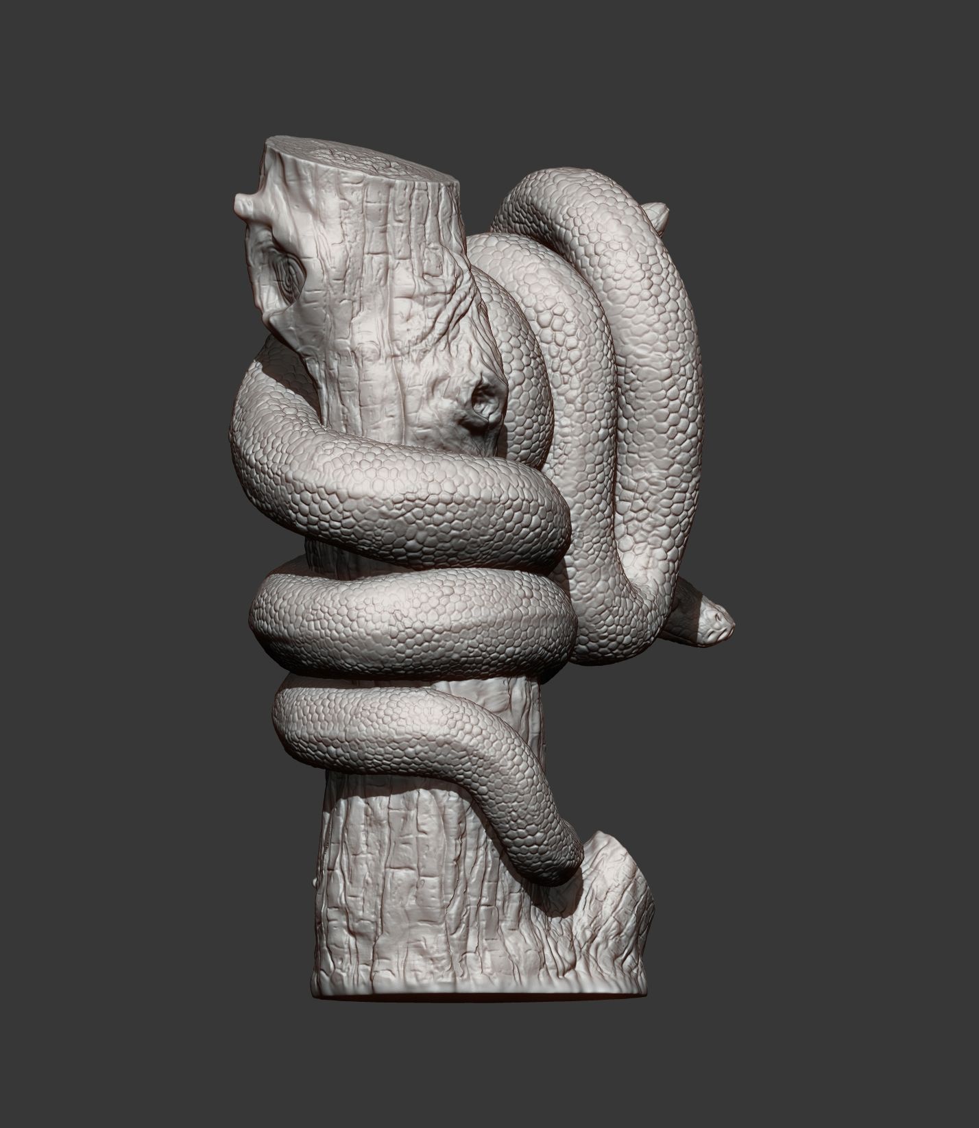 3D file Boa 3D print model・Model to download and 3D print・Cults