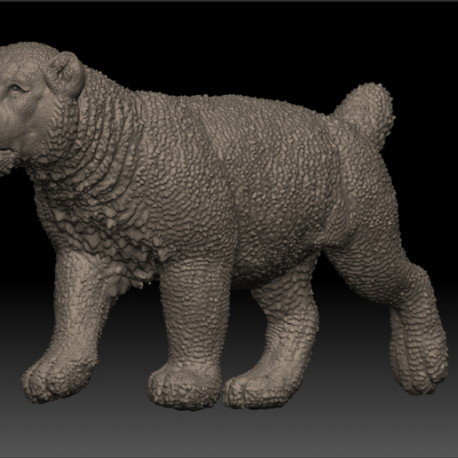 🦁 Homotherium cub・ 3D File for 3D printing・Cults
