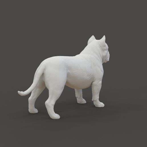 🐕 American Bully Animal・ STL File for 3D printing・Cults