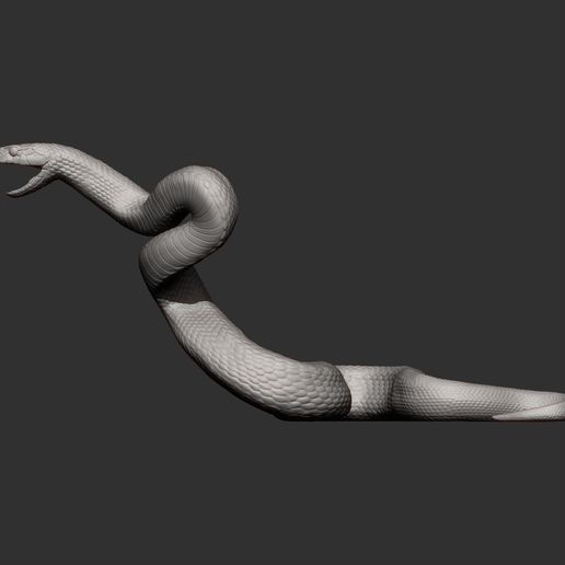 🐍 Eastern brown snake 3D print model・ STL File for 3D printing・Cults