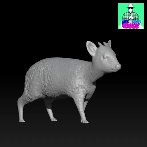 🦌 Pudu Deer・3D Print with the aump 3D printer・Cults
