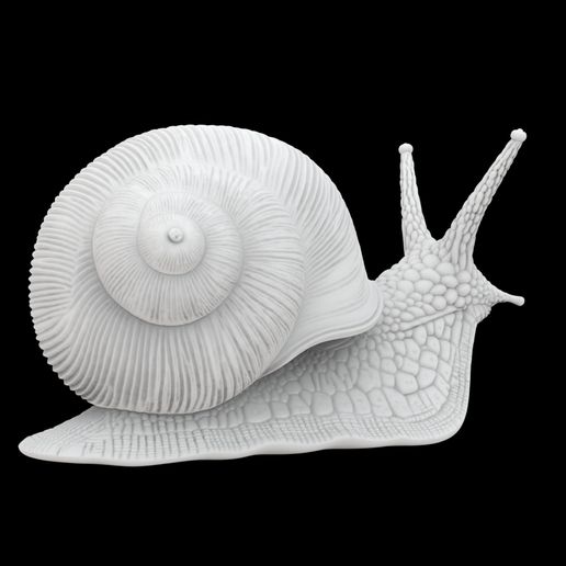 🐌 Snail 3D Model Printable Sculpture・ STL File for 3D printing・Cults