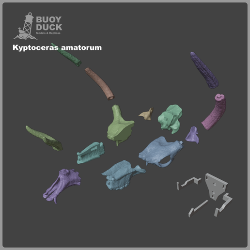 🦌 Synthetoceras y Kyptoceras Protoceratidae Combo・Archivo STL para ...