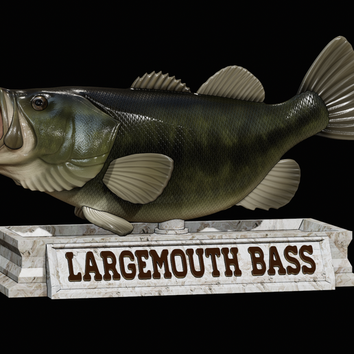 🐠 fish Largemouth Bass / Micropterus salmoides statue in motion stone ...