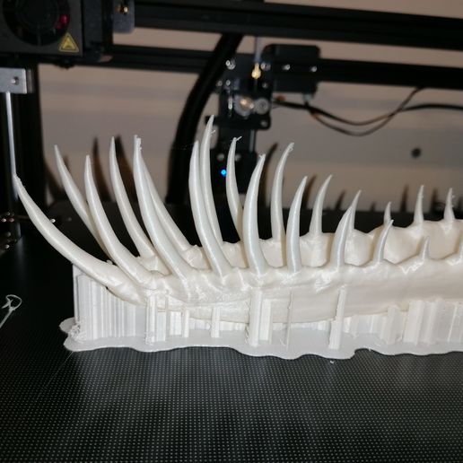 💀 Pterosaur skull - Boreopterus・ STL File for 3D printing・Cults