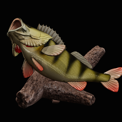 🐠 FISH EUROPEAN PERCH / PERCA FLUVIATILIS wall sculpture branch 3d ...