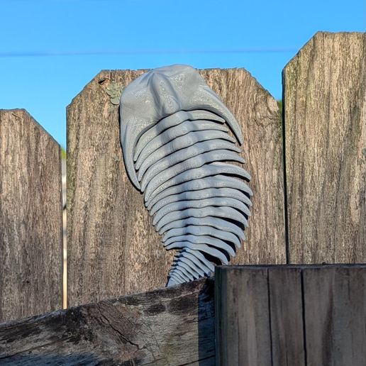 🧸 Articulated Trilobite・ 3D File for 3D printing・Cults