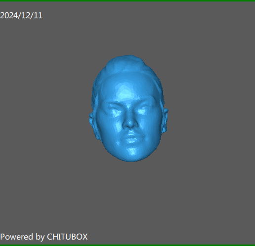 STL file Rise of Skywalker Rey Head ・Model to download and 3D print・Cults