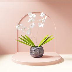 Orchid best STL files for 3D printing・307 free models to download・Cults